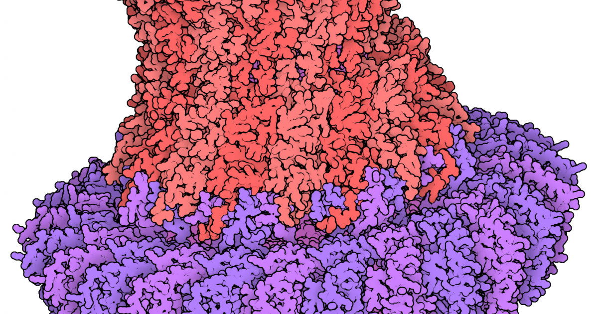 La molécule du mois : l’injectisome | Planet-Vie