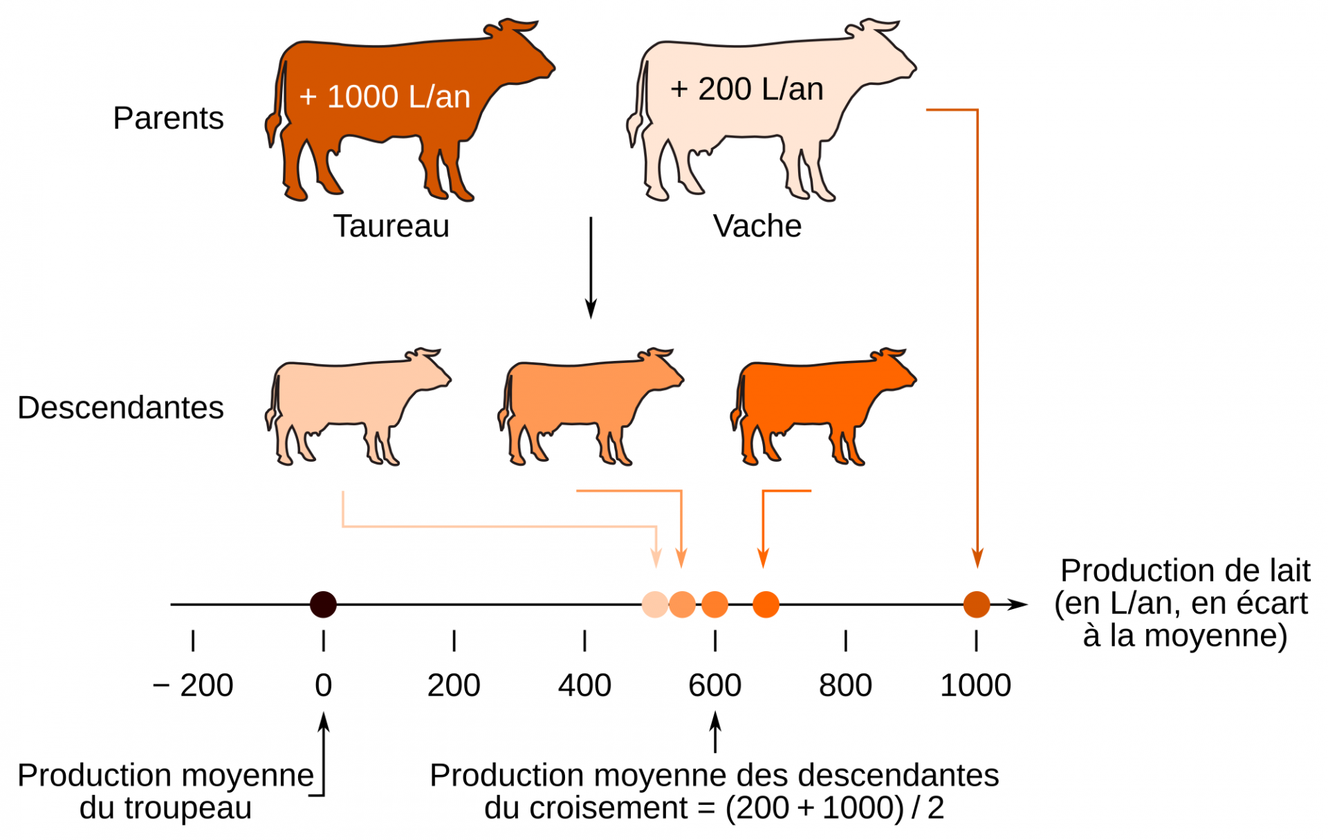 Introduction à l’amélioration génétique animale et exemples d ...