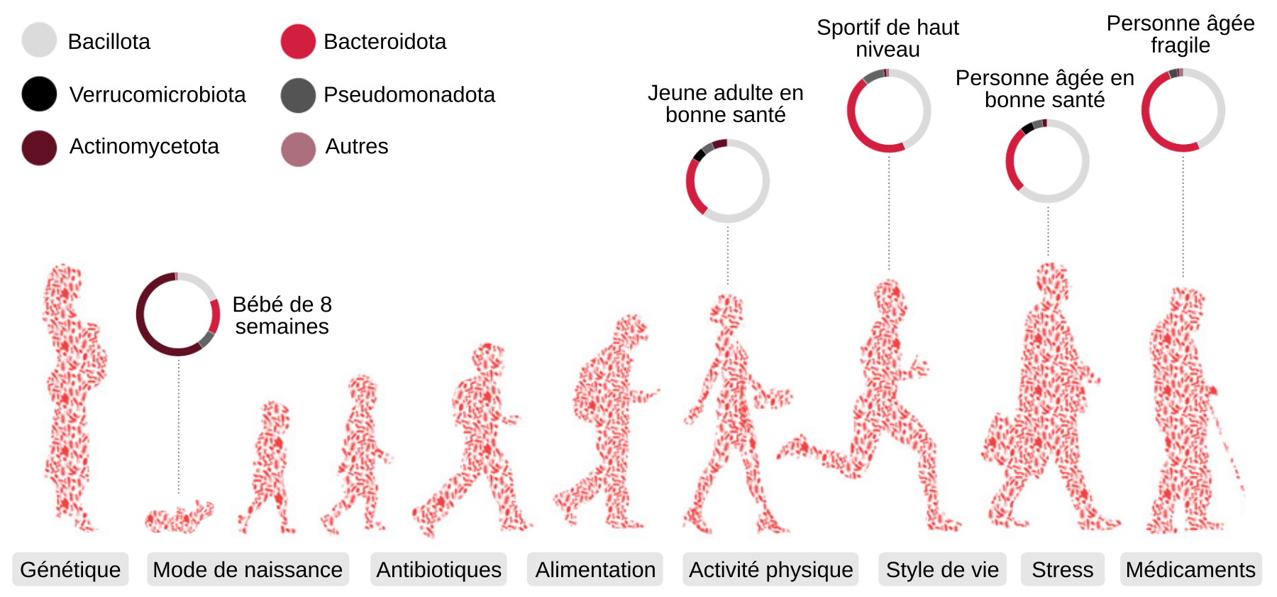 L'évolution du microbiote intestinal au cours de la vie | Planet-Vie