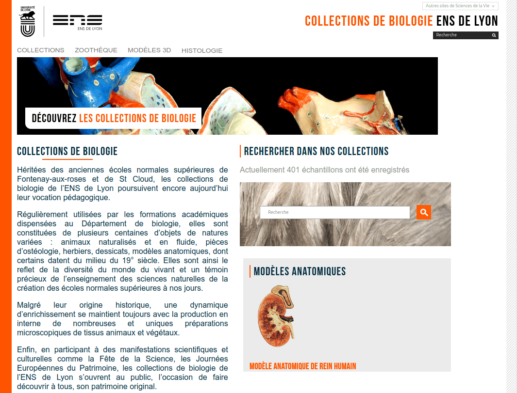 Lames histologiques, photographies de spécimens, modèles 3D… découvrez ...